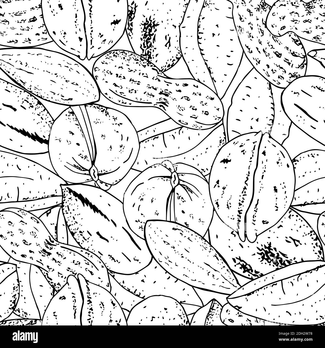 Seamless vector nuts pattern. Outline hand drawn illustration. Black ...