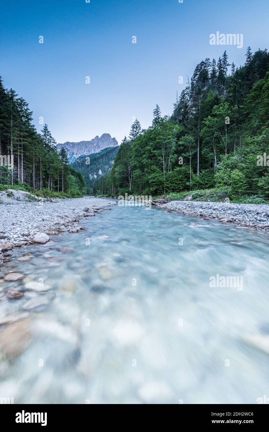 A mesmerizing shot of clear river in the middle of the forest Stock ...