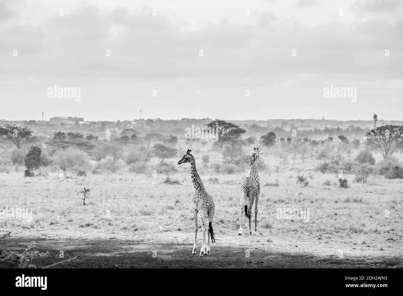 Exploring the country Stock Photo - Alamy