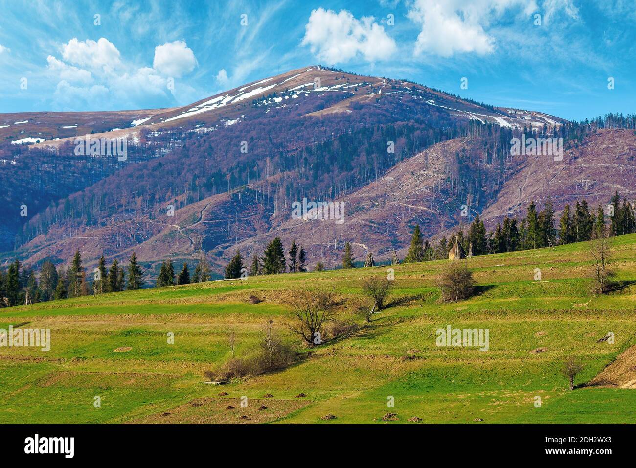rural field on the hill in spring. snow capped mountain in the distance ...