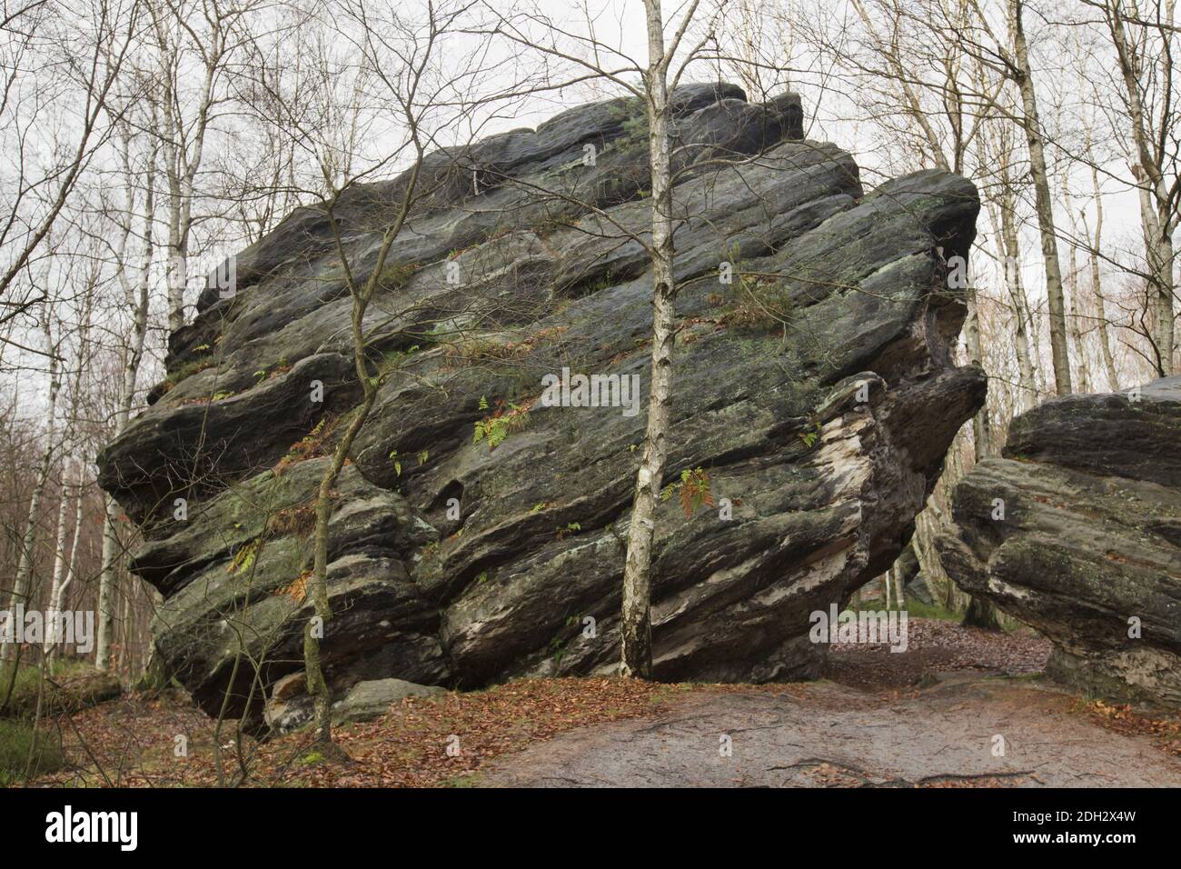 Tyssaer Walls In The Bohemian Switzerland High Resolution Stock ...