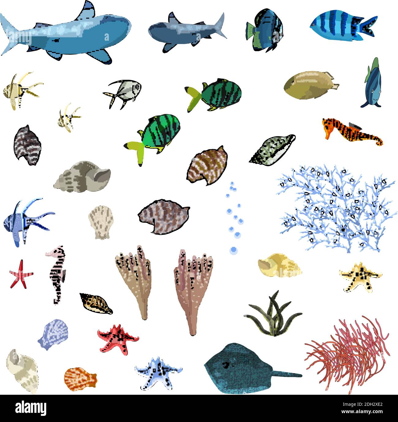 Coral Reef Animals Names