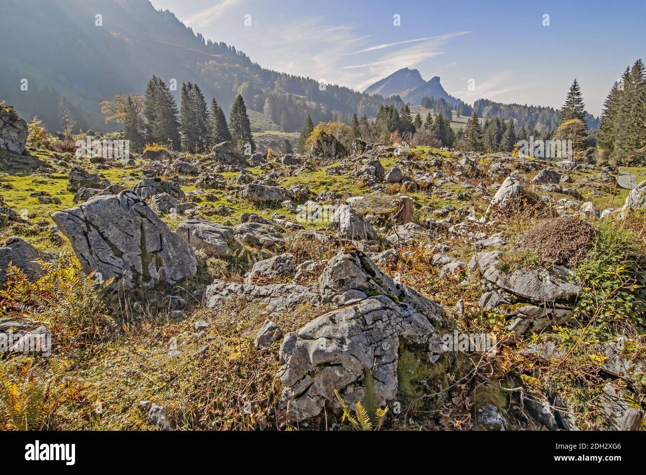 Scree field hi-res stock photography and images - Alamy
