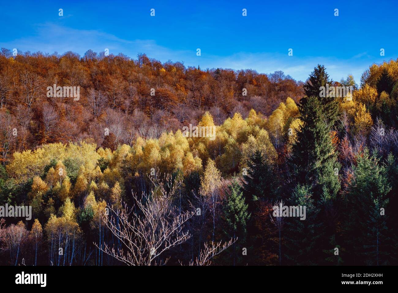 beautiful autumn landscapes in the Romanian mountains, Fantanele ...