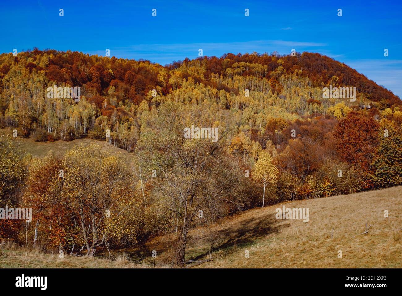 beautiful autumn landscapes in the Romanian mountains, Fantanele ...
