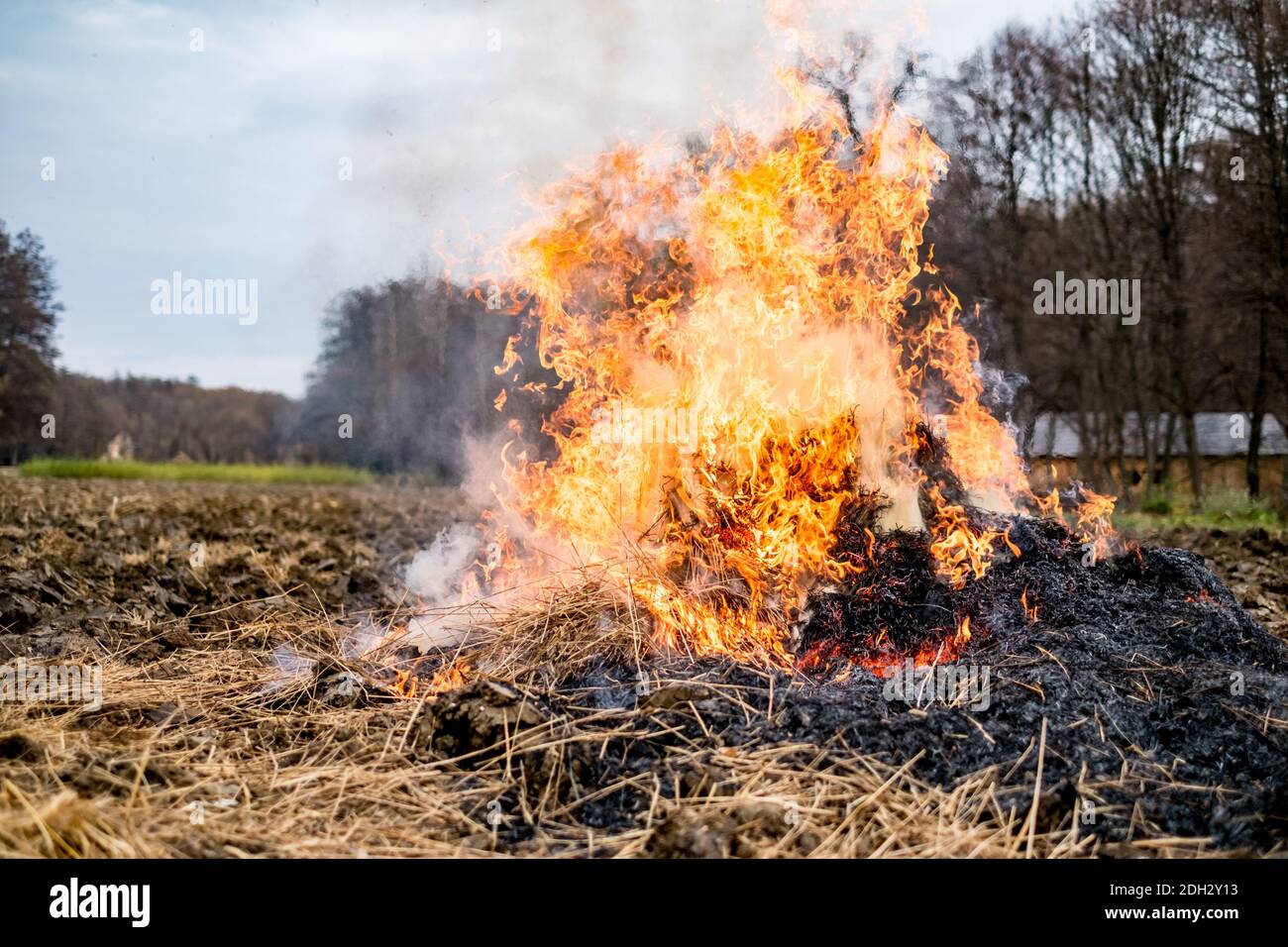 Fire burns straw field after harvest Stock Photo - Alamy