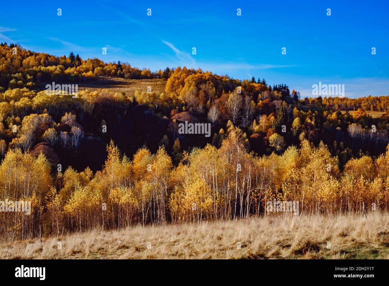 beautiful autumn landscapes in the Romanian mountains, Fantanele ...
