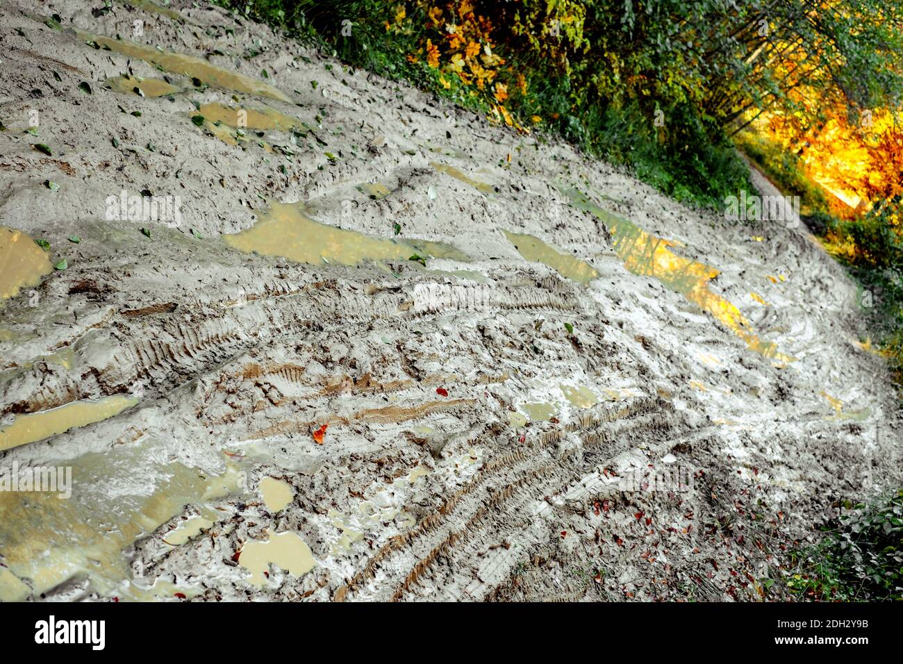 traces of cars in the mud Stock Photo - Alamy