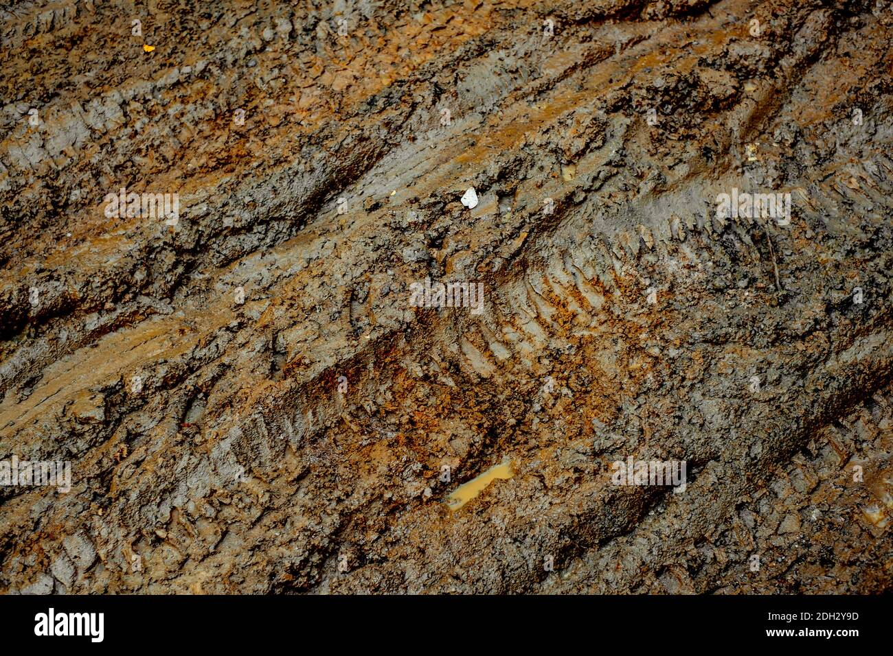 traces of cars in the mud Stock Photo - Alamy