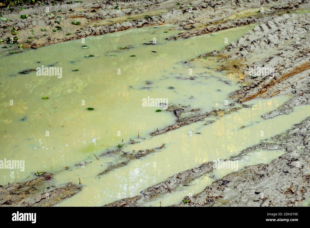 traces of cars in the mud Stock Photo - Alamy