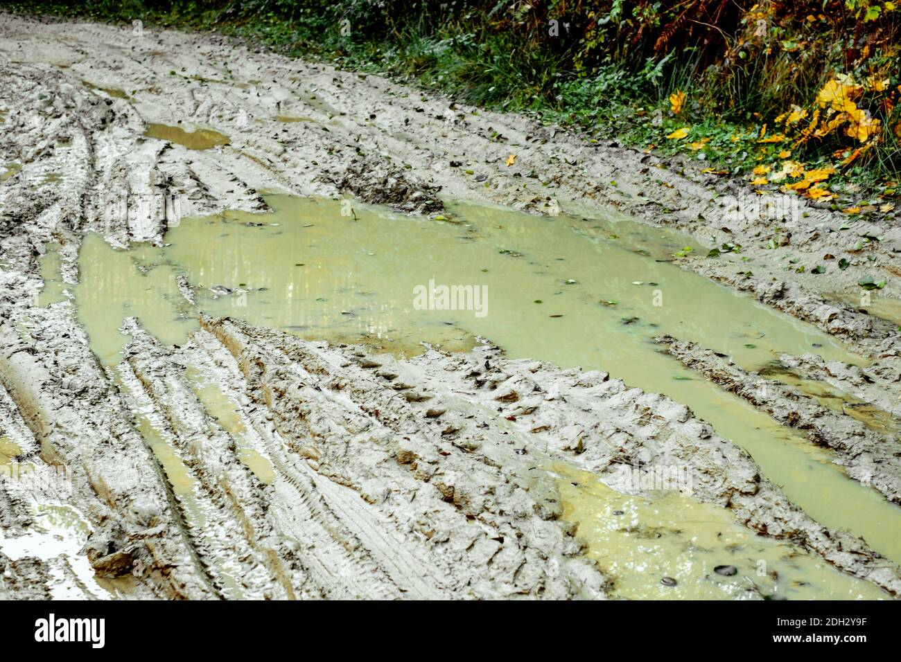 traces of cars in the mud Stock Photo - Alamy