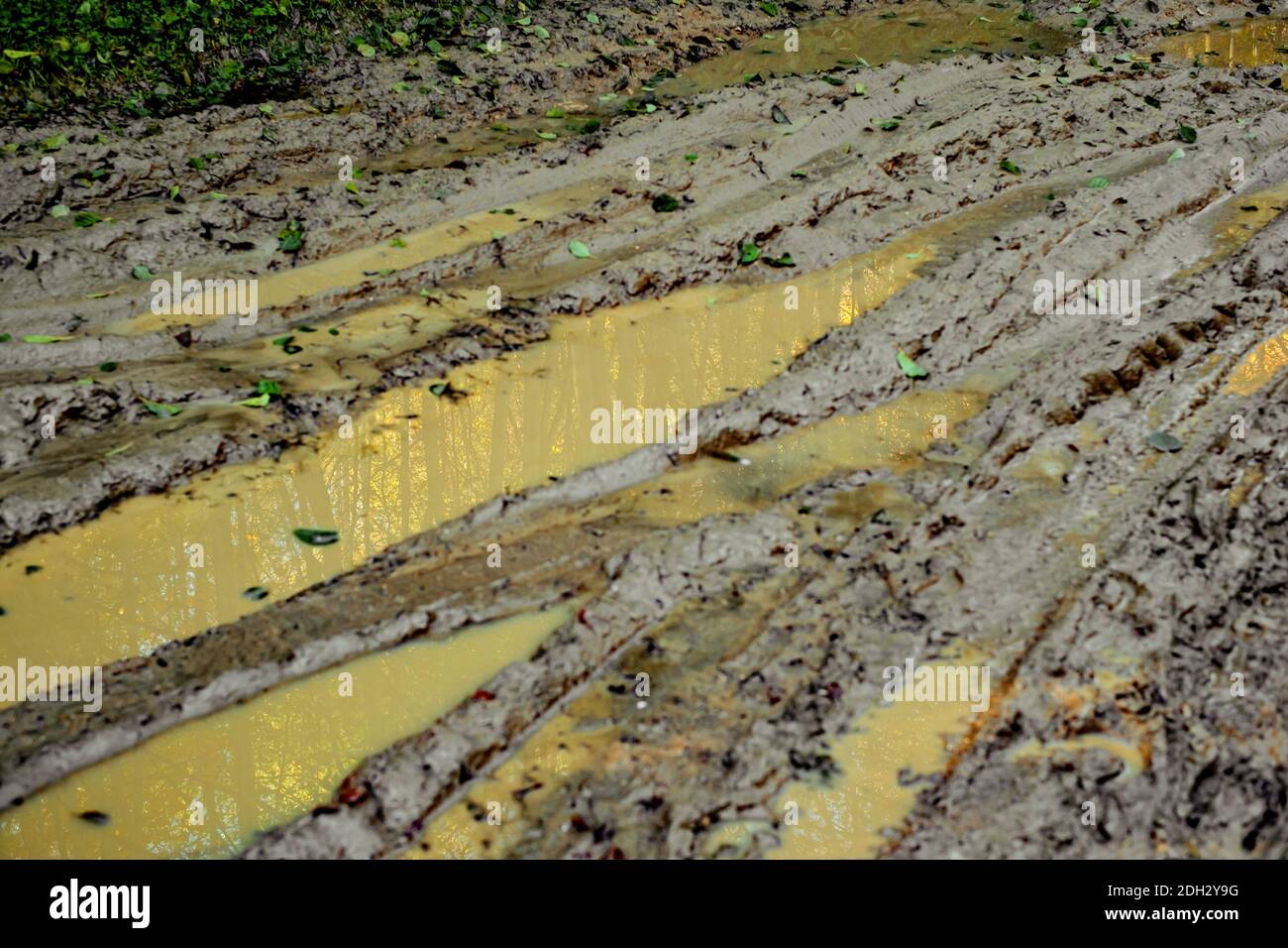 traces of cars in the mud Stock Photo - Alamy