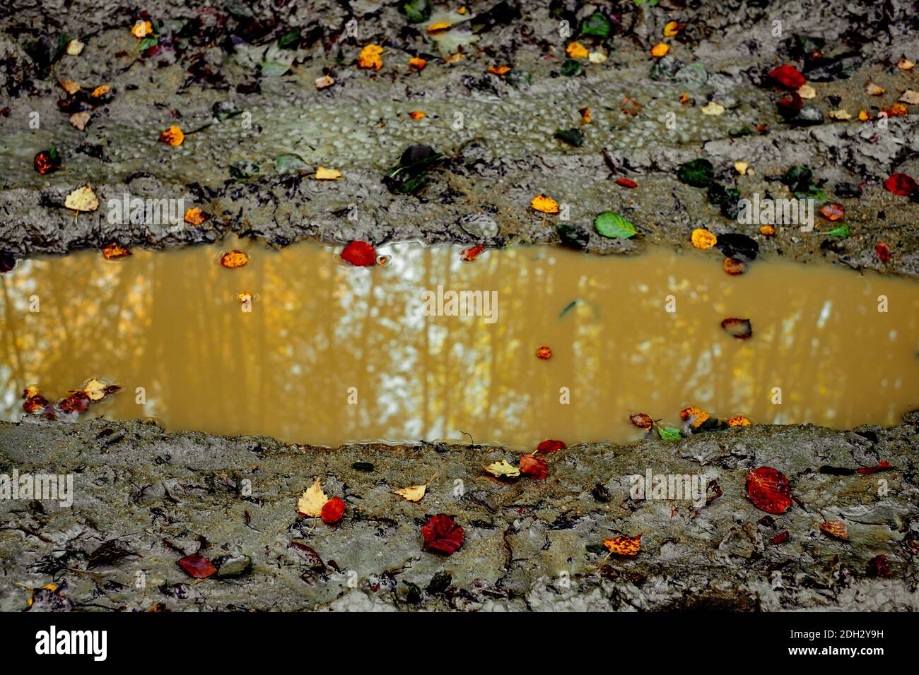 traces of cars in the mud Stock Photo - Alamy