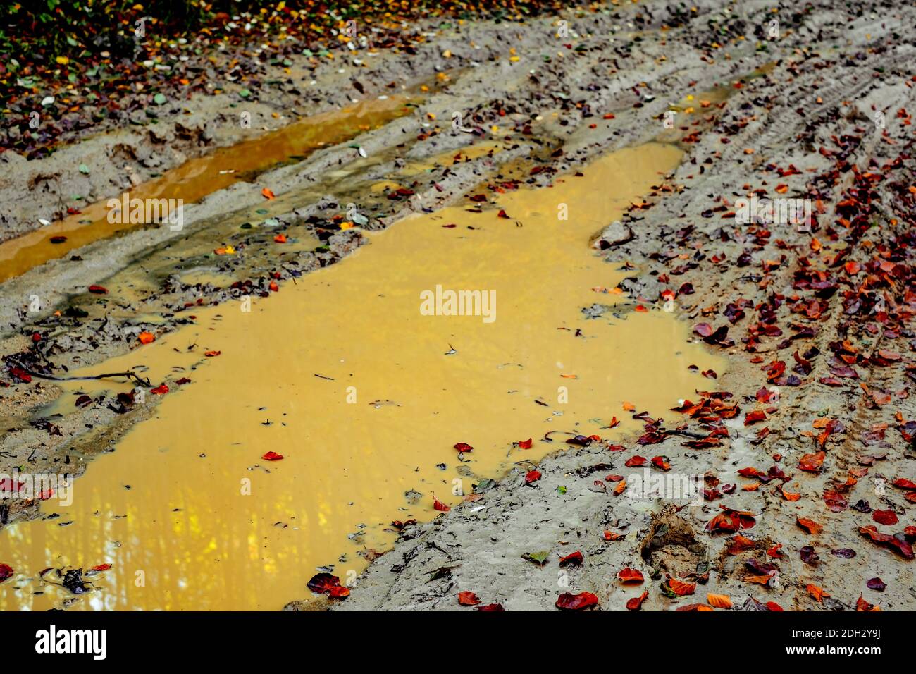 traces of cars in the mud Stock Photo - Alamy