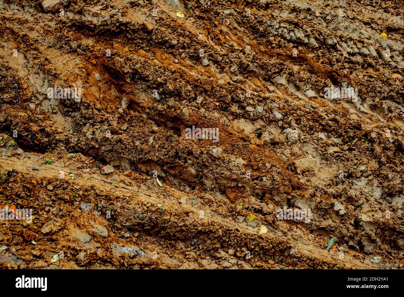 traces of cars in the mud Stock Photo - Alamy