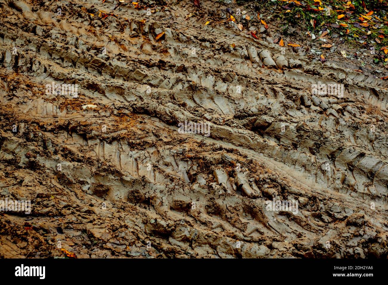 traces of cars in the mud Stock Photo - Alamy