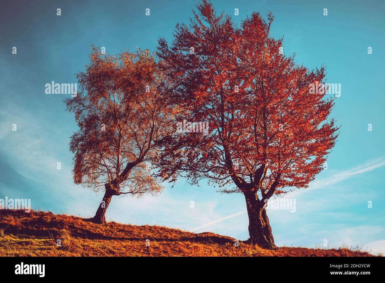 Sky for matte painting hi-res stock photography and images - Alamy