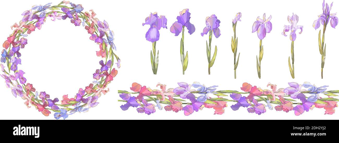 Romantic wreath and seamless border with irises. Vector hand drawn ...
