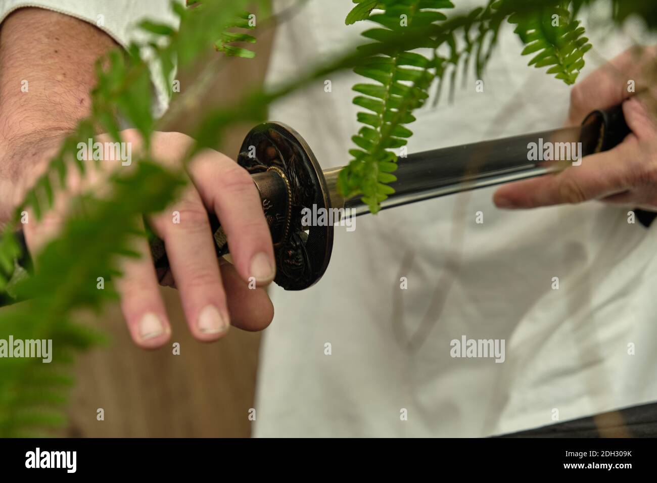 men's hands take out a Japanese katana sword Stock Photo - Alamy