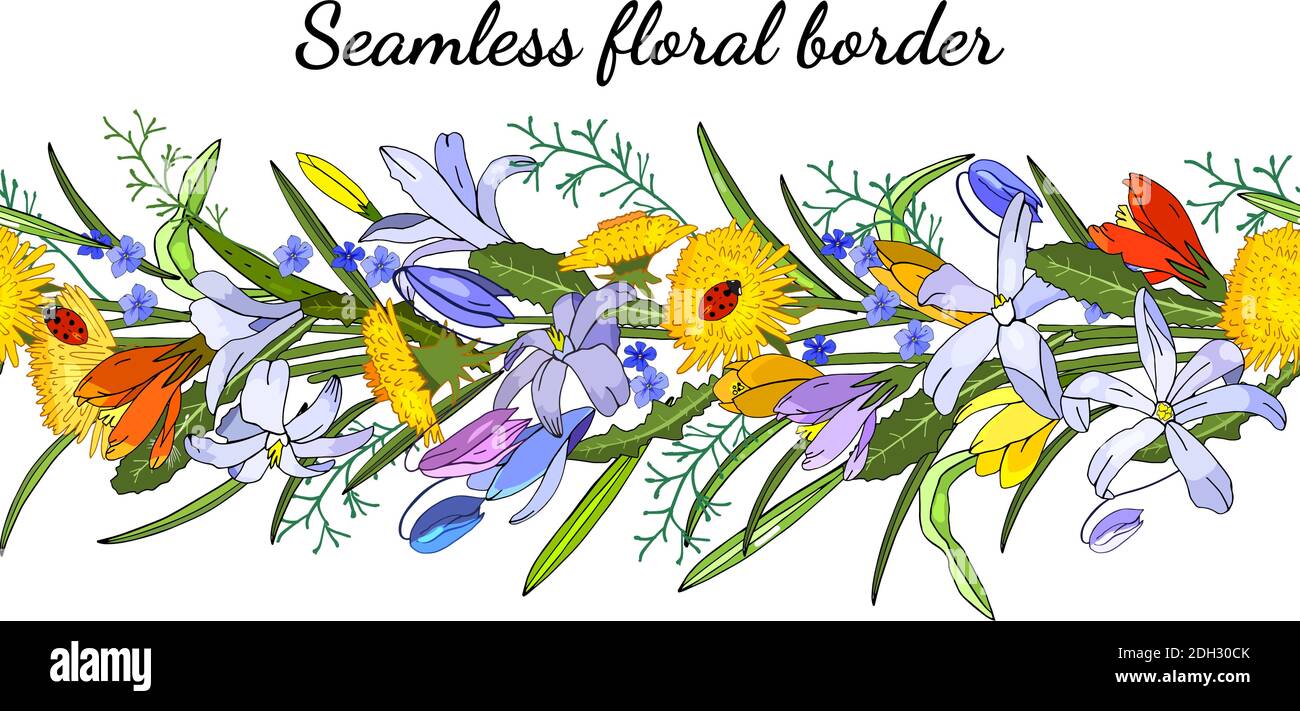Seamless spring flower border isolated on white. Vector hand drawn ...