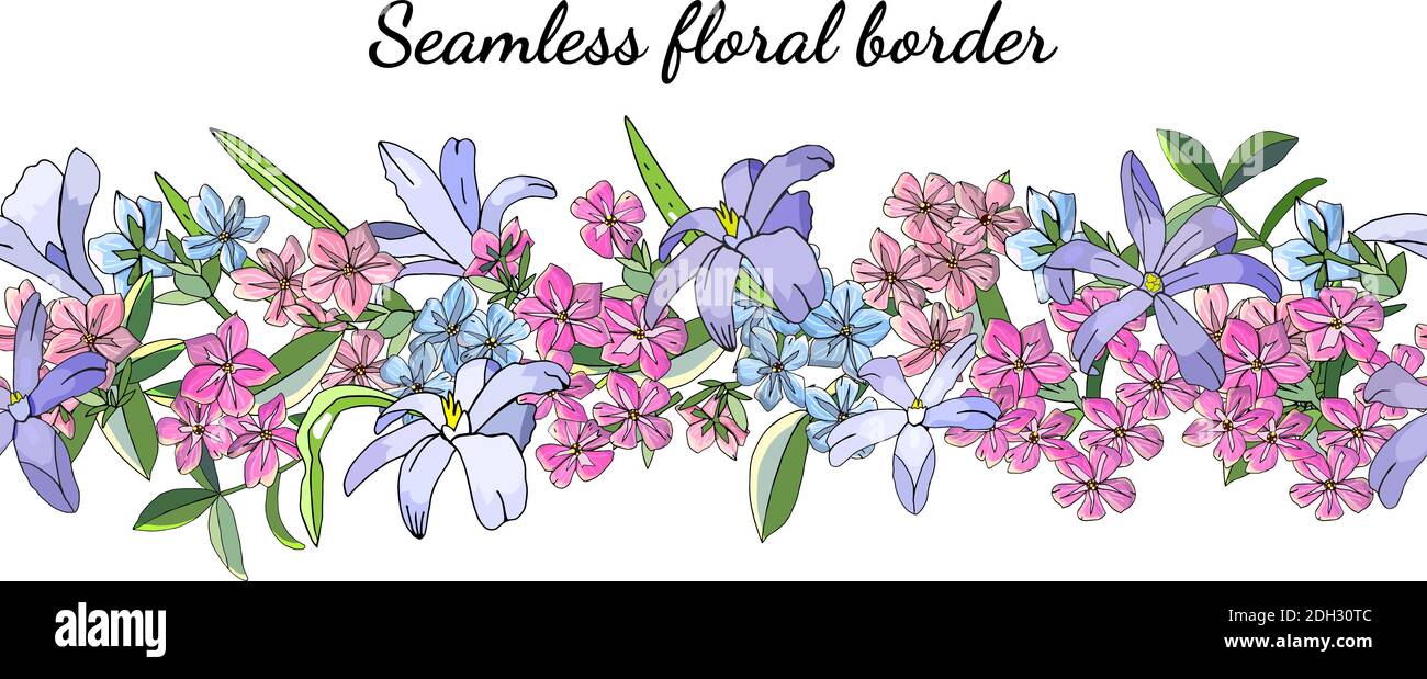 Seamless spring flower border isolated on white. Vector hand drawn ...