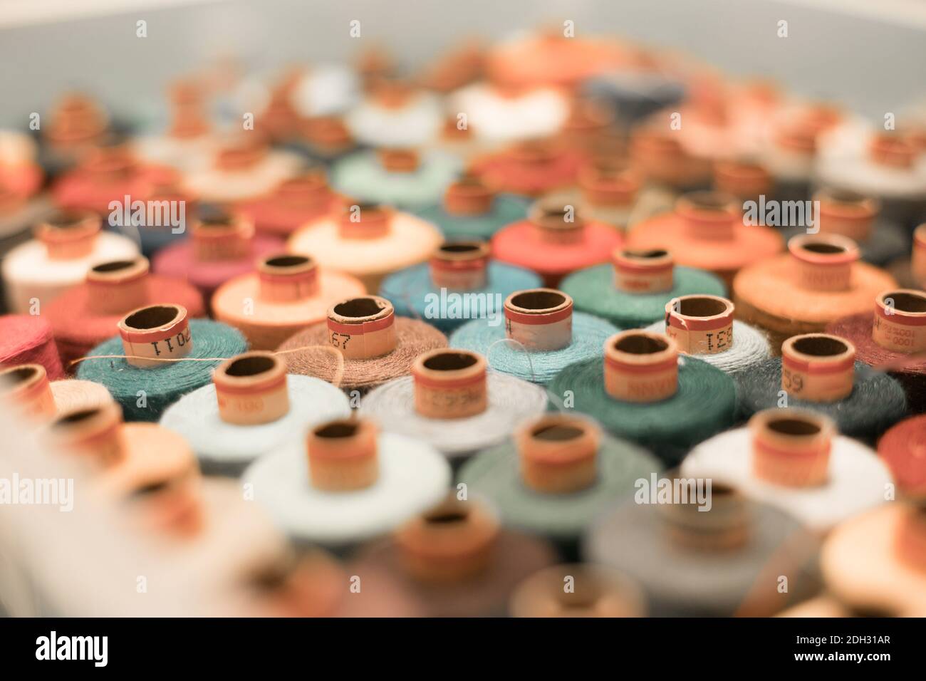 Threads in a tailor textile fabric: colorful cotton threads, birds eye ...