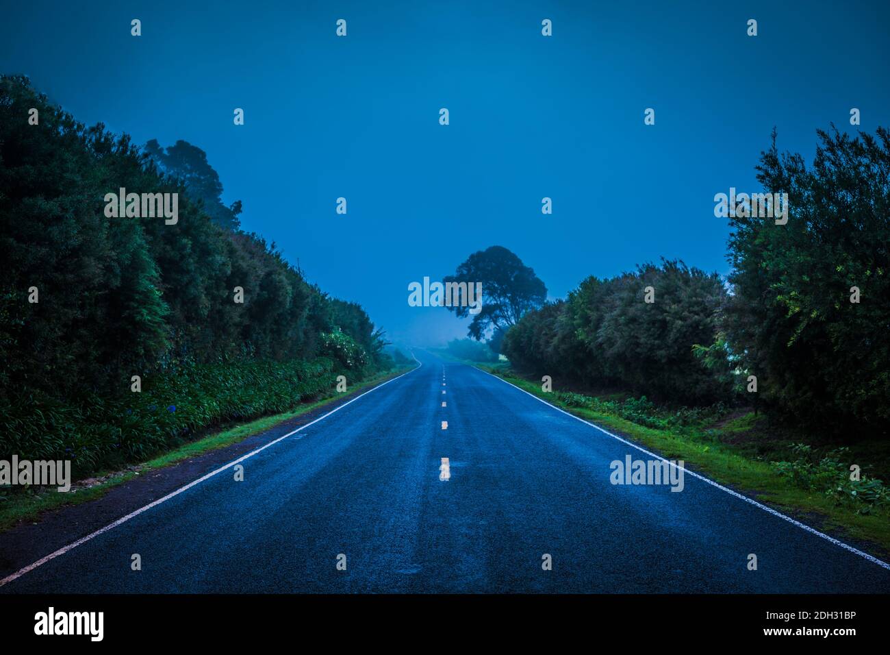 Exploring the country Stock Photo - Alamy