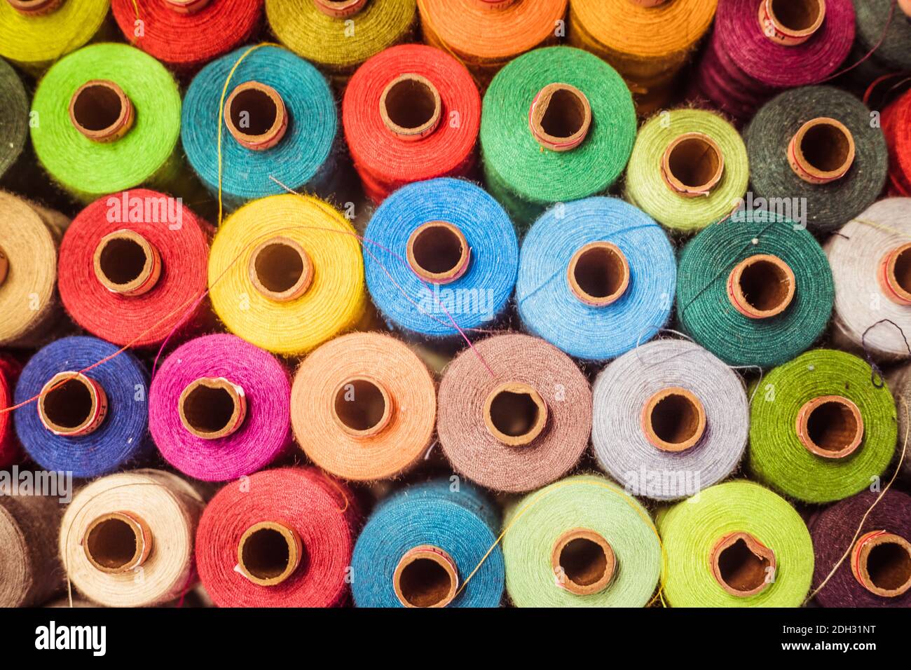Threads in a tailor textile fabric: colorful cotton threads, birds eye ...