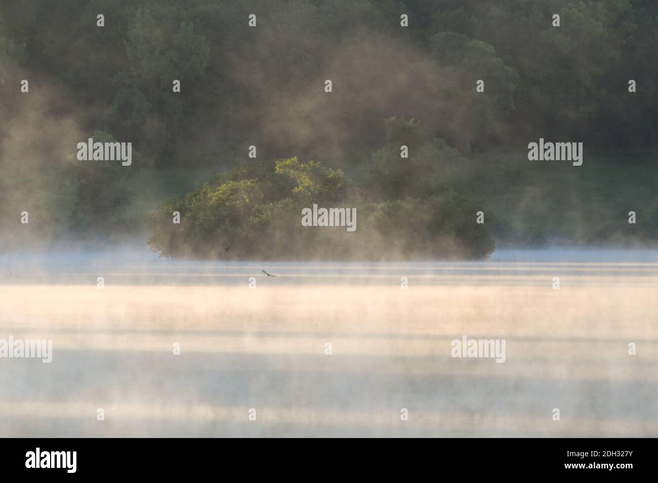 Mist Rising from Lake Water with Island and Forest of Trees in ...