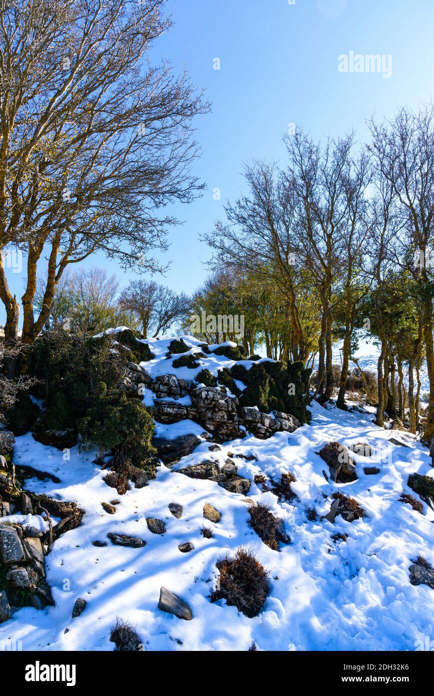Winter wonderland high mountain hiking tour, snow-capped mountain rocky ...