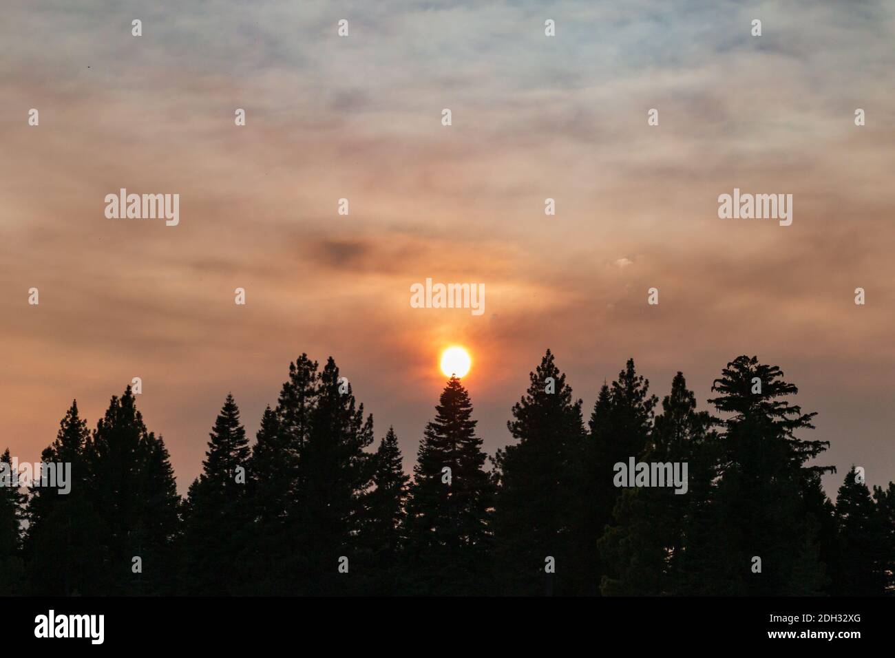 Smoky trees and sun during California Wildfires 2020 Stock Photo - Alamy