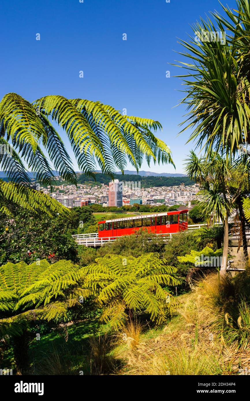 WELLINGTON, NEW ZEALAND - Feb 25, 2020: Wellington's iconic Cable Car ...