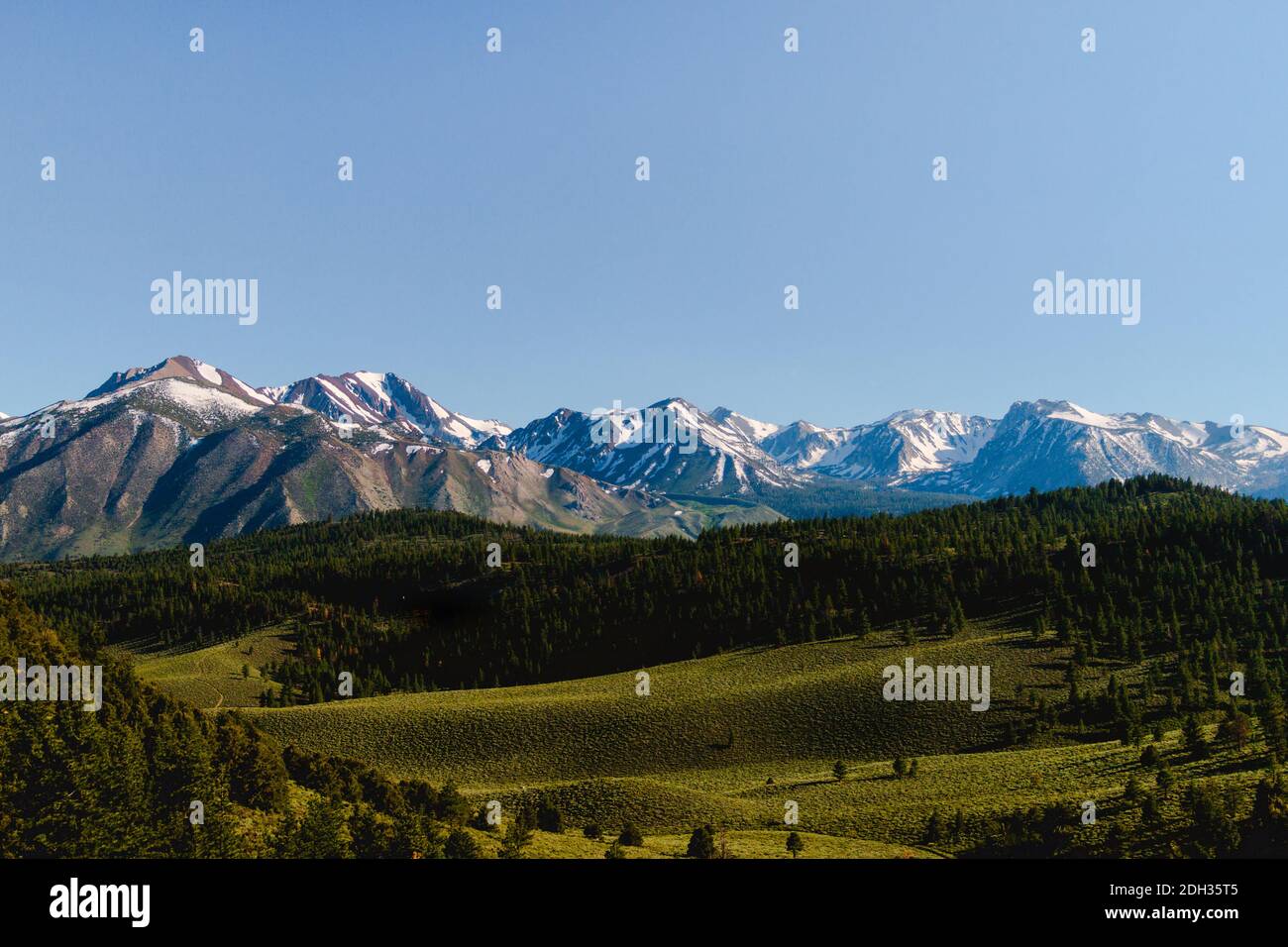 Green hills and forest with snowy mountains Stock Photo - Alamy