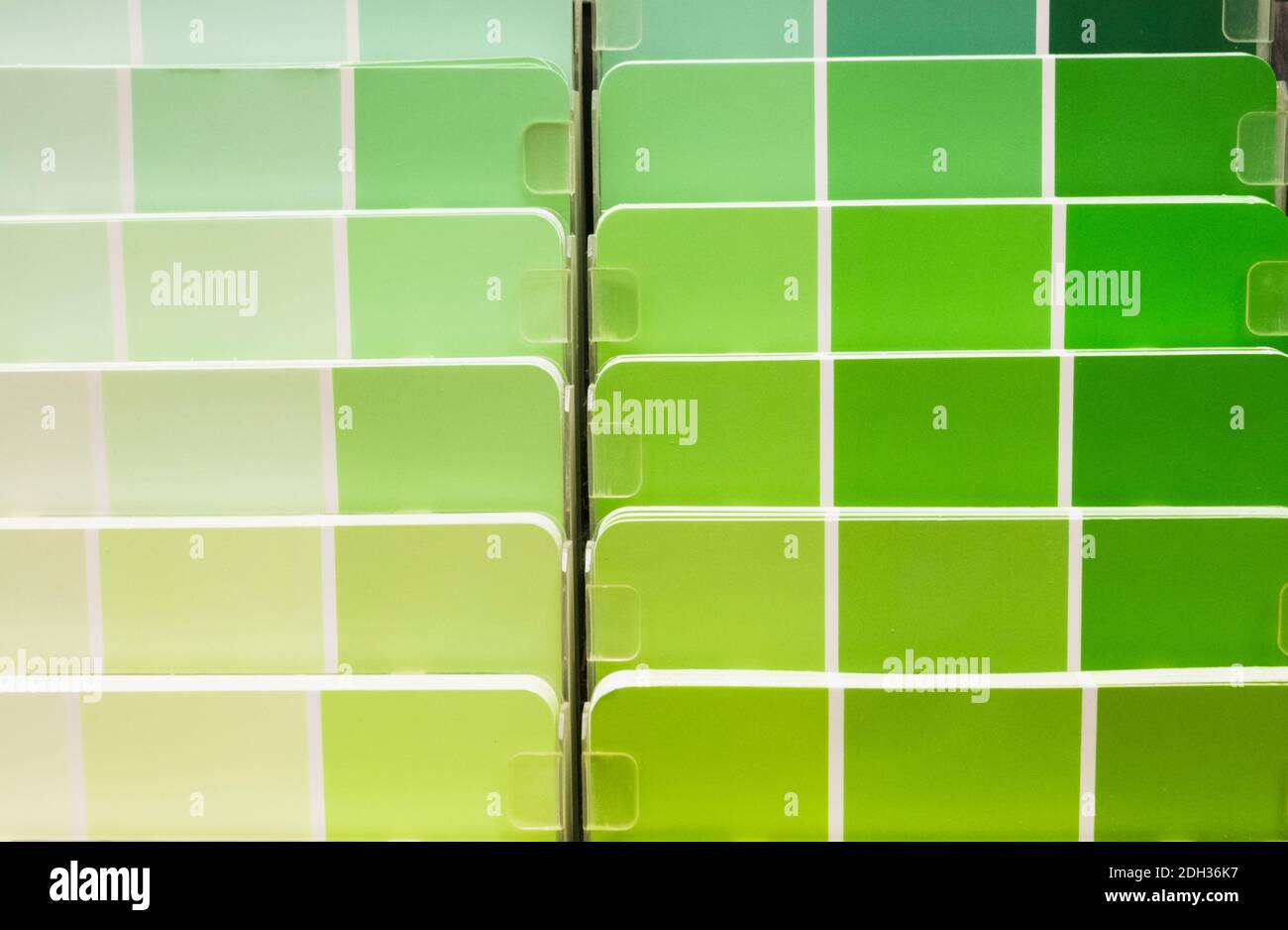 Color swatches showcasing various shades of green displayed in a paint ...