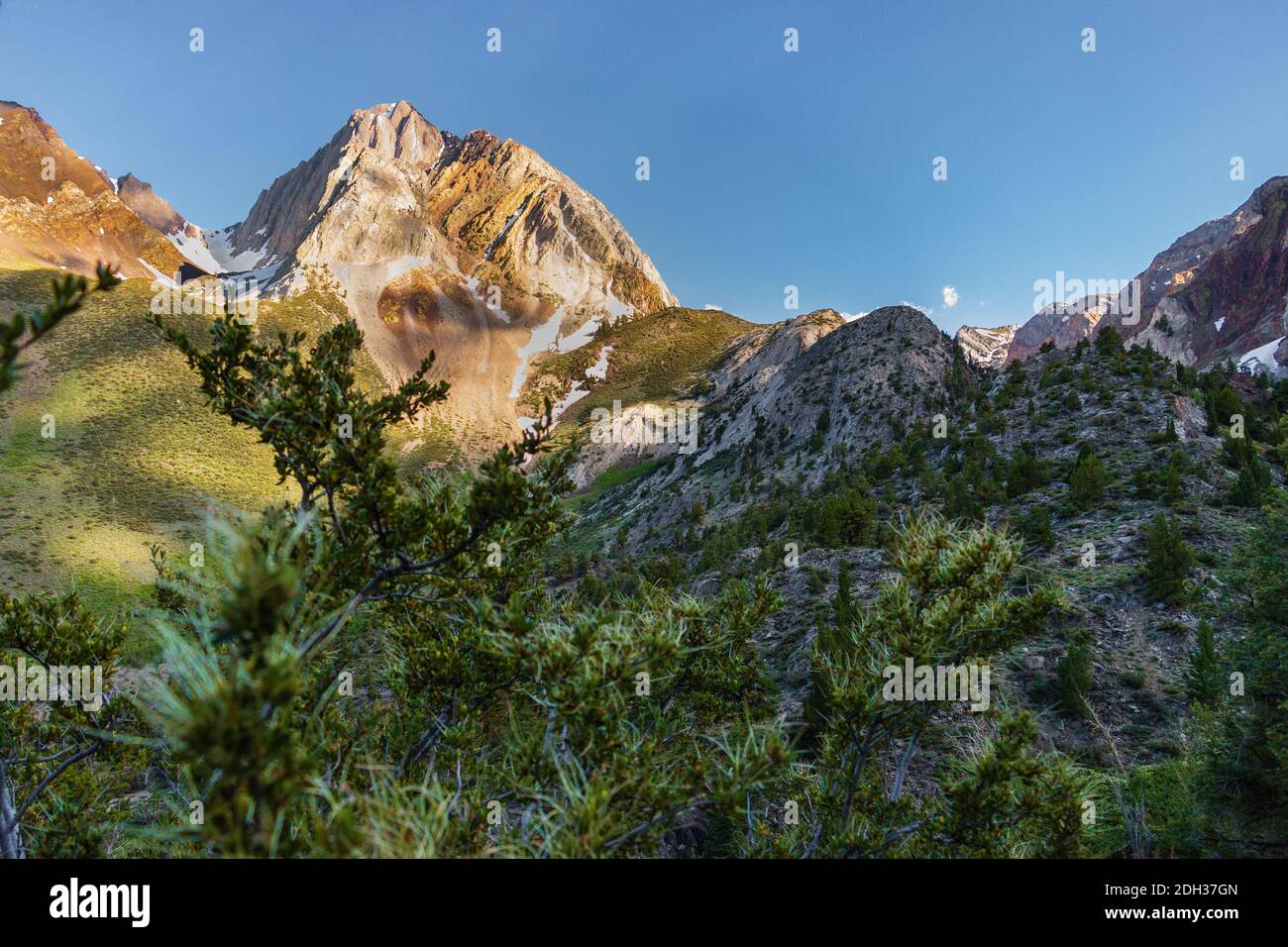 Rocks, trees and plants in mountain landscape Stock Photo - Alamy