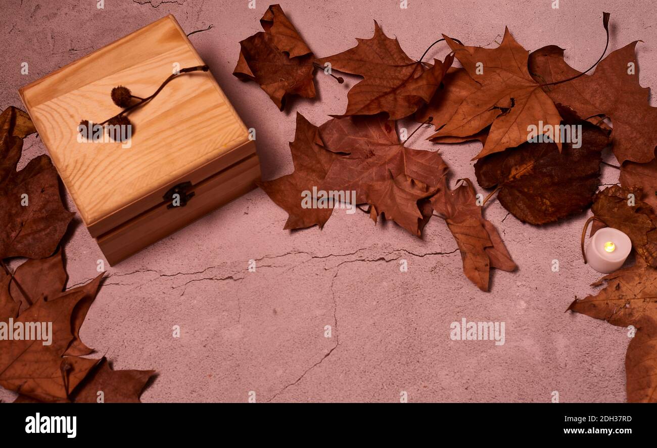 Leaves closed hi-res stock photography and images - Alamy