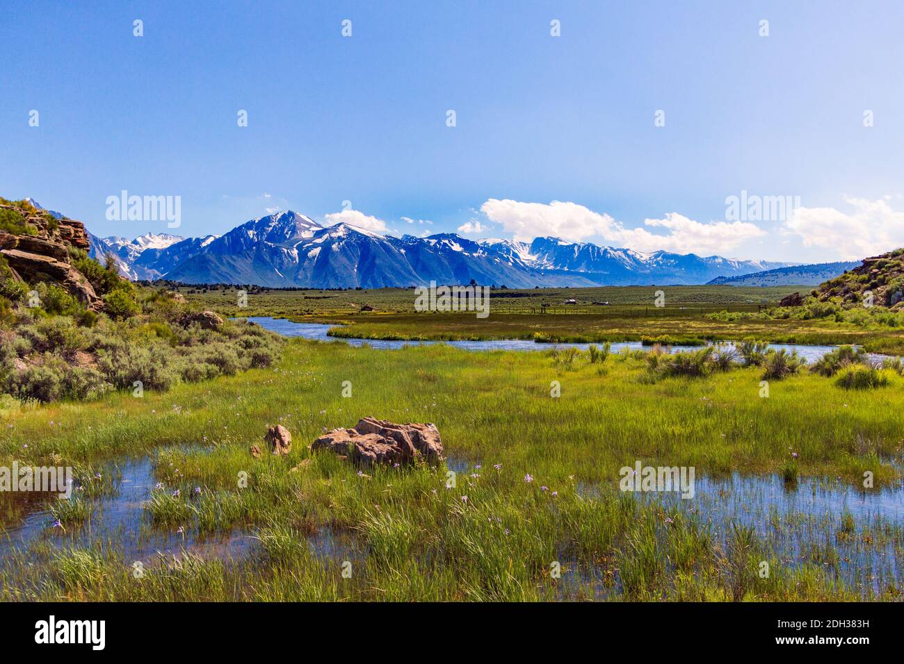 A stream running through a meadow with snowy mountains Stock Photo - Alamy