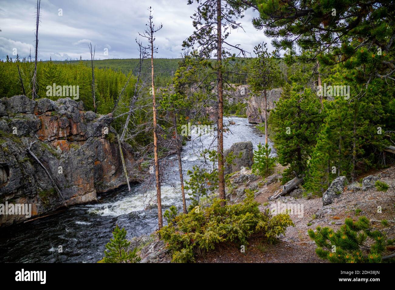 A narrow stream of water in Yellowstone National Park, Wyoming Stock ...