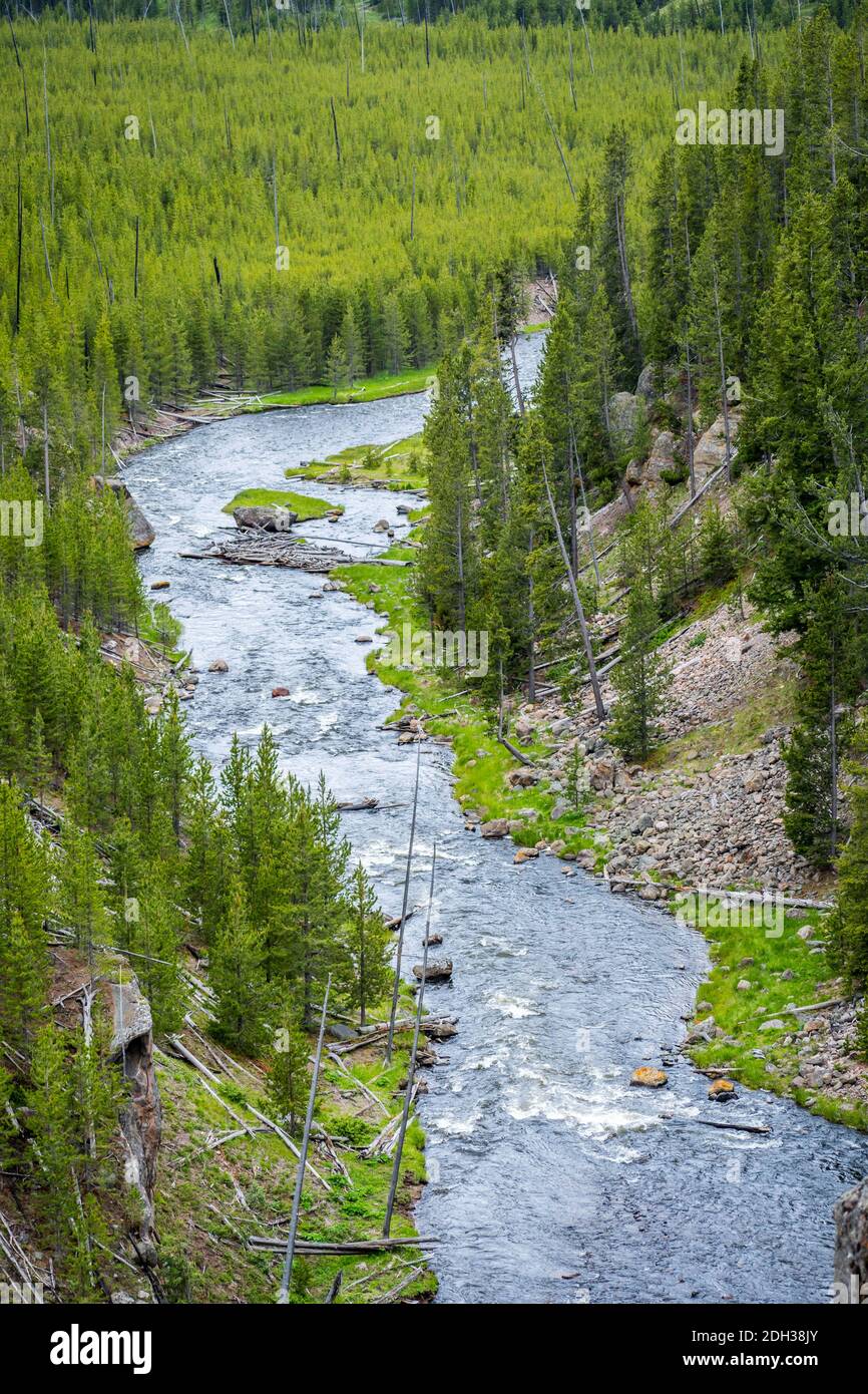 A narrow stream of water in Yellowstone National Park, Wyoming Stock ...
