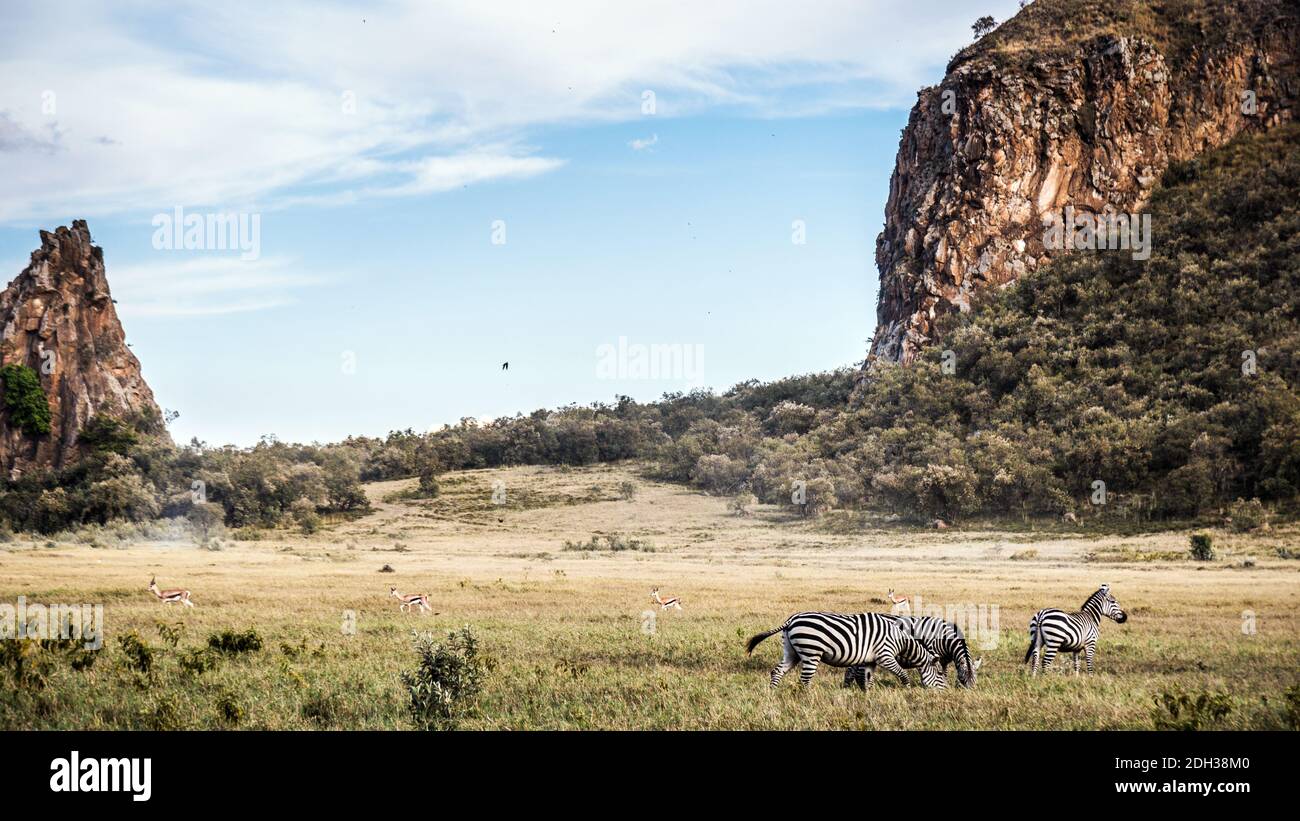 Exploring the country Stock Photo - Alamy