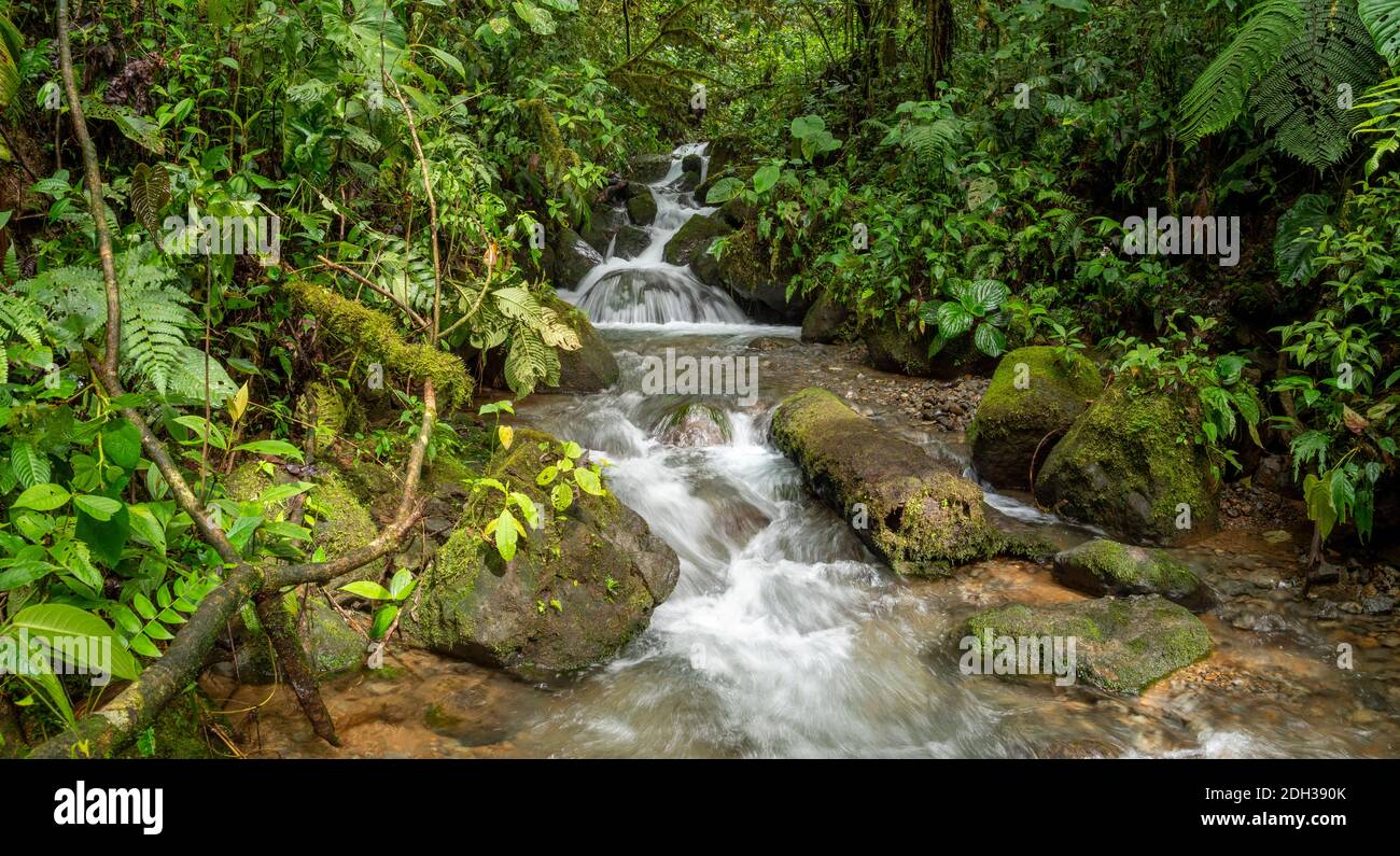 Panoramic view of a swift flowing stream running through pristine ...