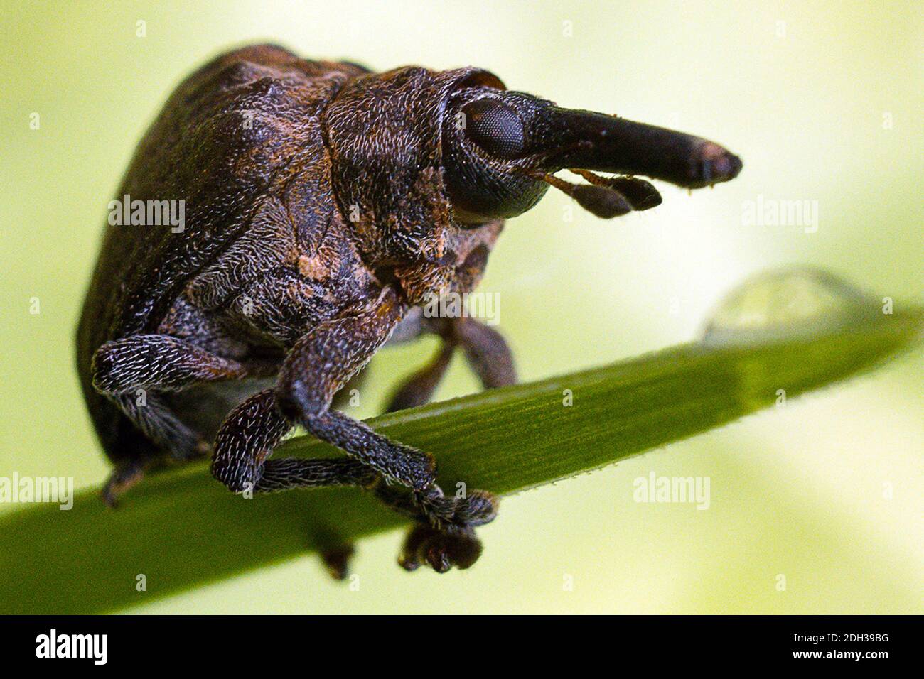 Exploring the country Stock Photo - Alamy