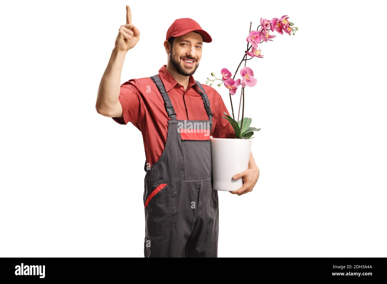 Male worker in a uniform holding an orchid flower pot and pointing up ...