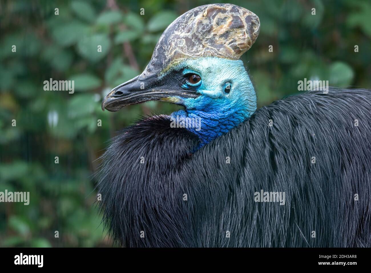 Big farm australia hi-res stock photography and images - Alamy