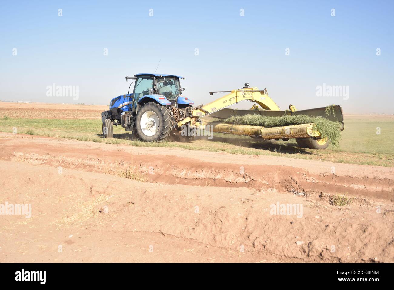 Alfalfa crop hi-res stock photography and images - Alamy