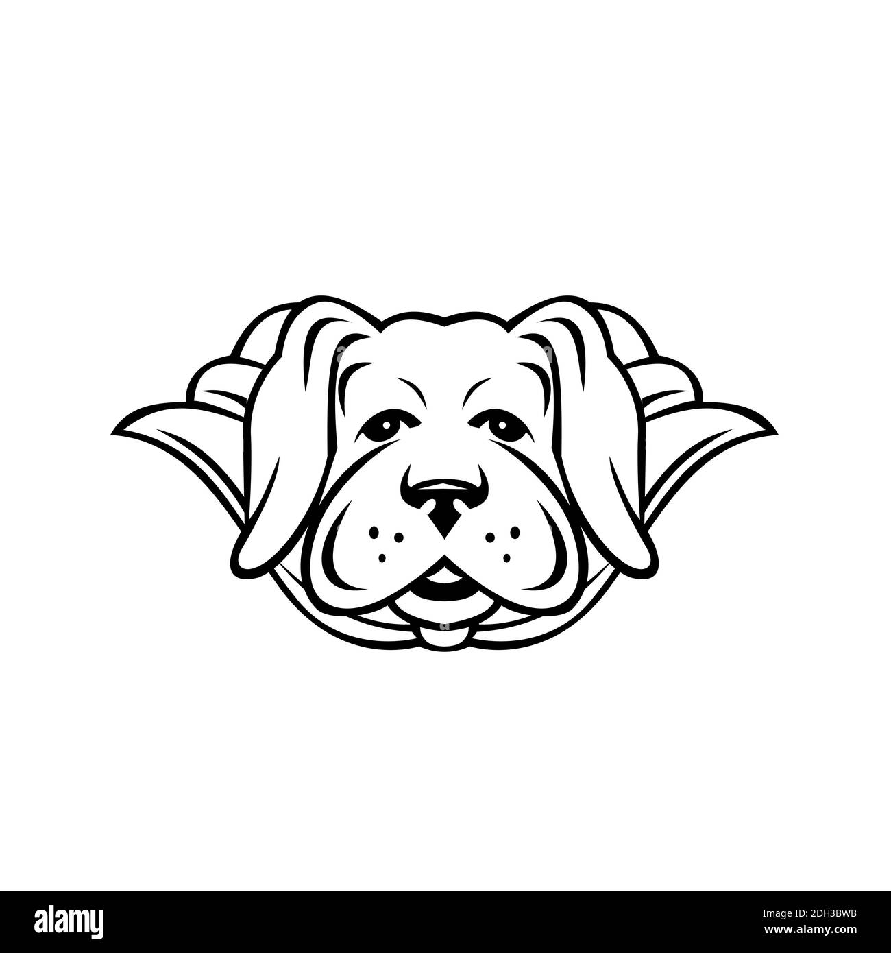 Super Yellow Labrador Dog Wearing Cape Front View Black and White Stock ...