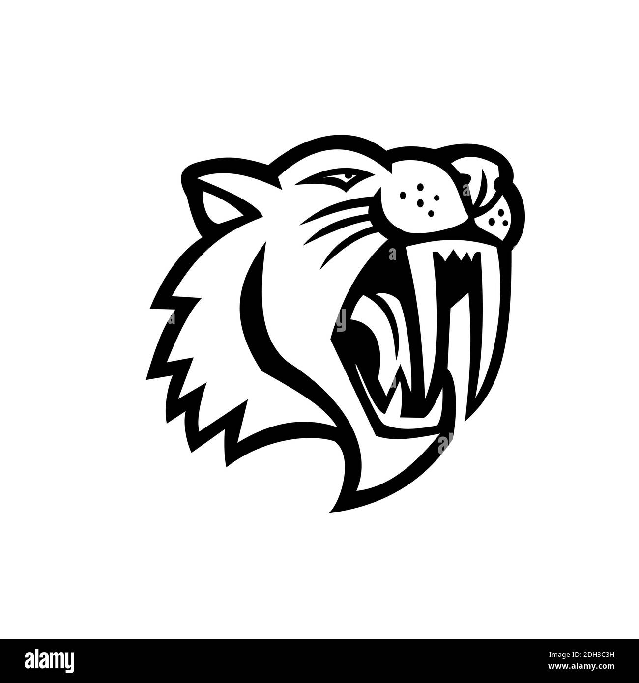 Angry Saber Toothed Cat Head Mascot Black and White Stock Photo - Alamy