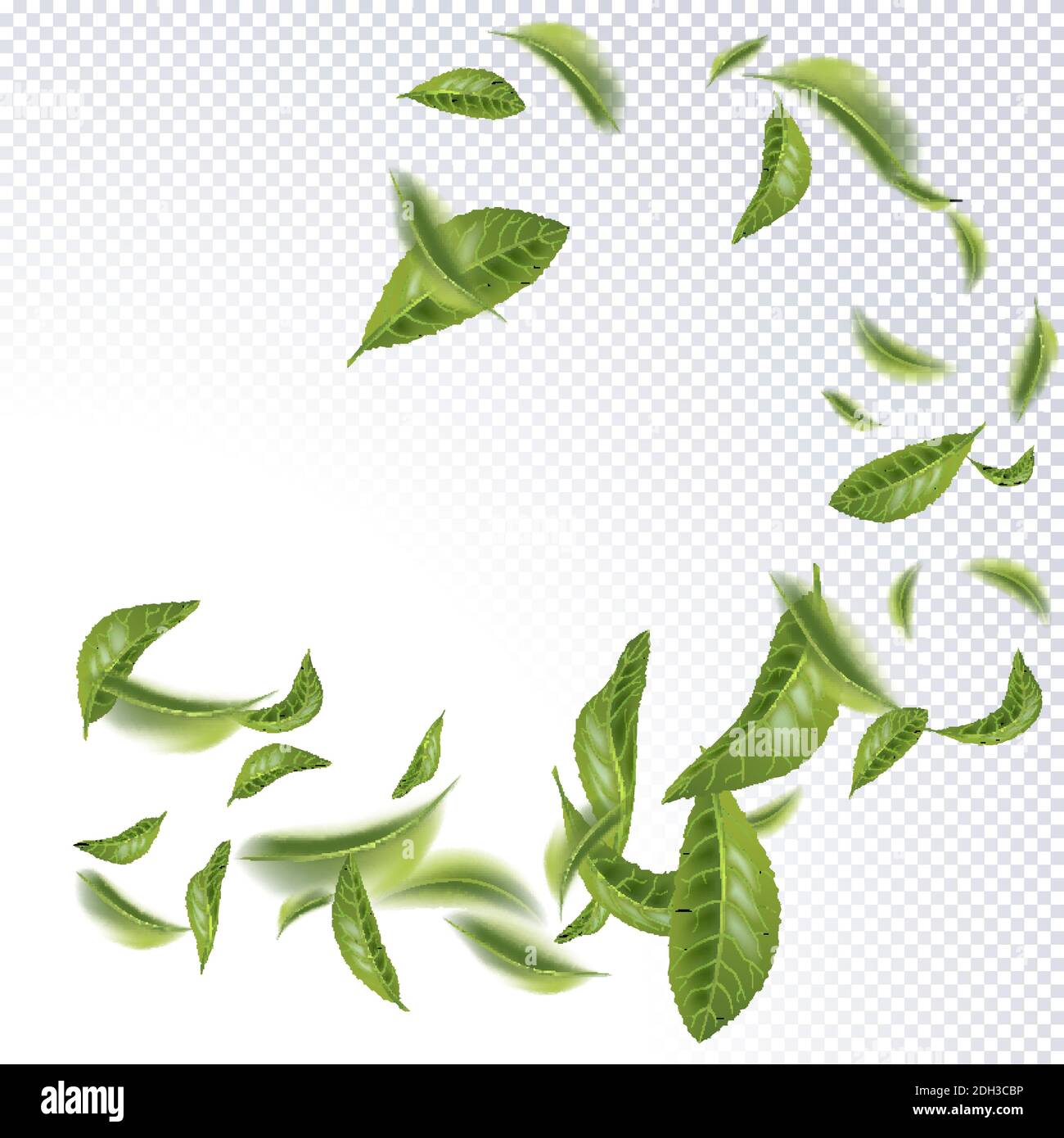 Realistic beautiful flying green tea leaf isolated on white. Leaves ...