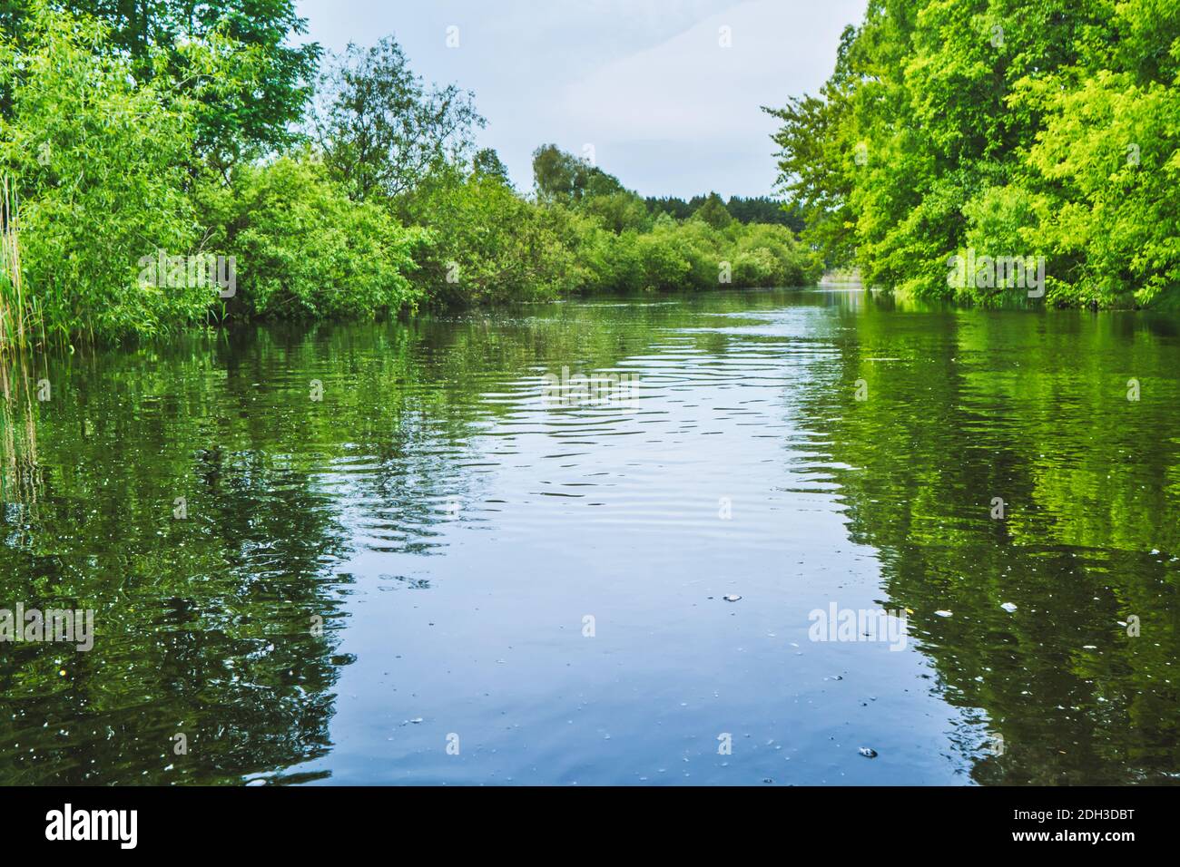 Forest grass green river hi-res stock photography and images - Alamy