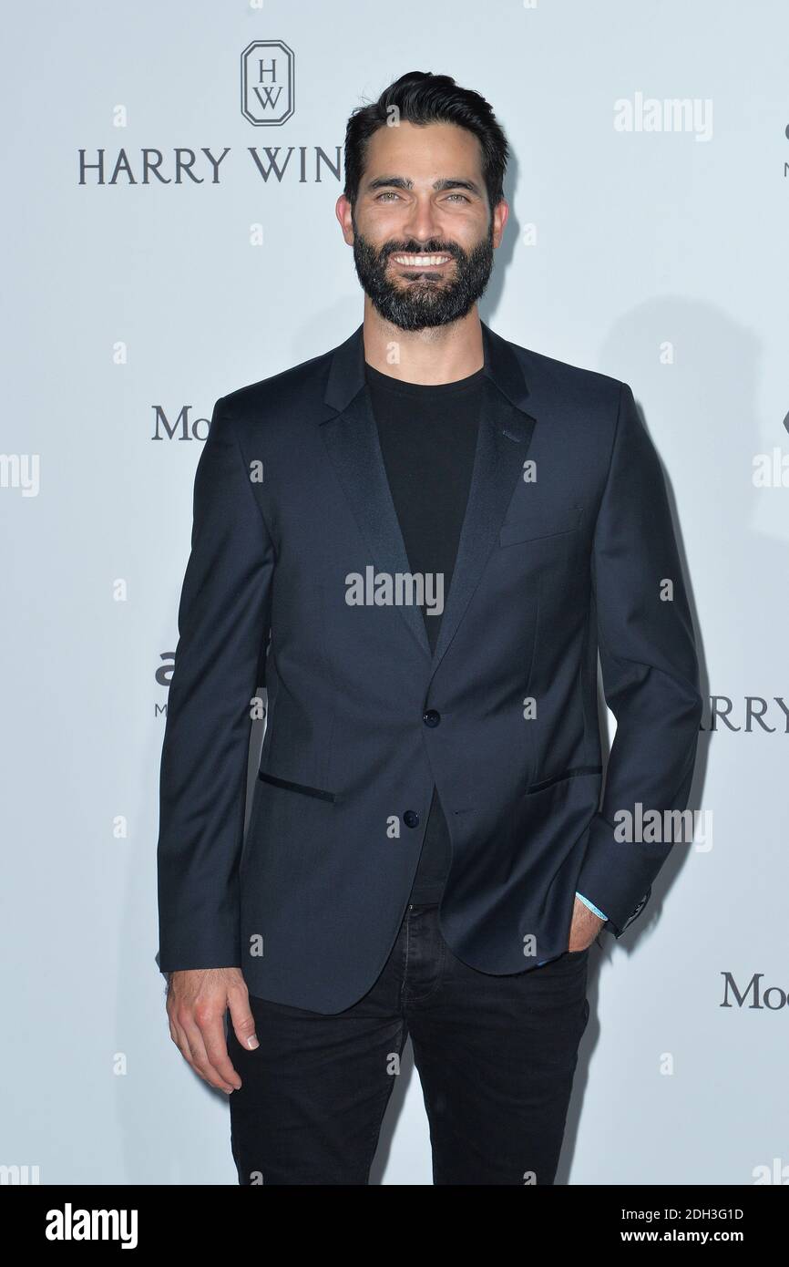 Tyler Hoechlin attends the amfAR Paris Dinner at Le Petit Palais on ...